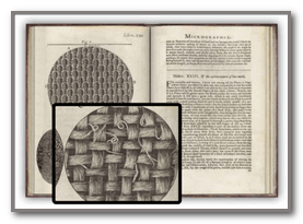 Tener una lupa en el PC con Virtual Magnifying Glass - Desontis