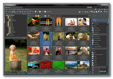 Descargar Zoner Photo Studio gratis, editor de fotografías - Desontis